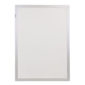 Parrot Poster Frame A0 1250 x 900mm Single Mitred
