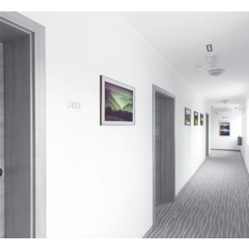 Parrot Poster Frame A0 1250 x 900mm Single Mitred