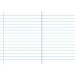 Treeline A4 Counter Book 2 Quire Feint & Margin 192 Page - Penfile ...