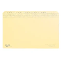 Tidy Files A4 Executive Heavy Duty File Tri-Clip Cream - Pack 25 ...