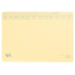 Tidy Files A4 Executive Magna File Dispo Clip Cream - Pack 25 - Penfile ...